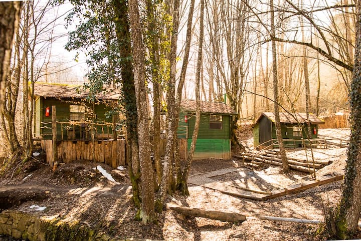 Bungalow 1 | Hindiba Doga Evi | Bolu - Yedigöller