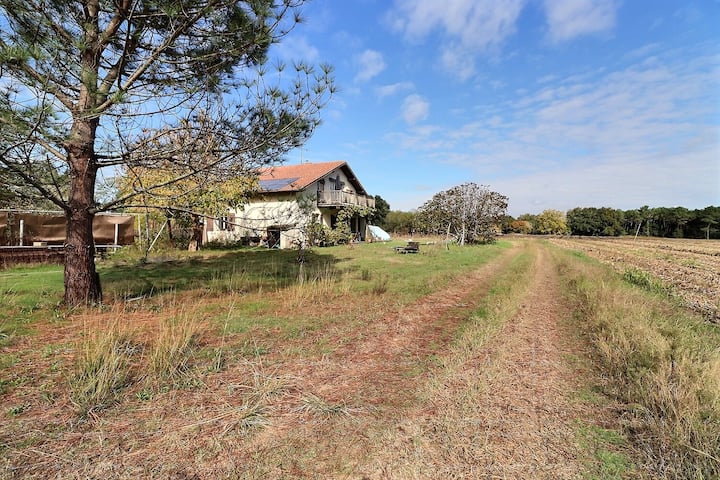 Appart. Vue Campagne - 15 Km Hossegor/seignosse - Saint-Vincent-de-Tyrosse