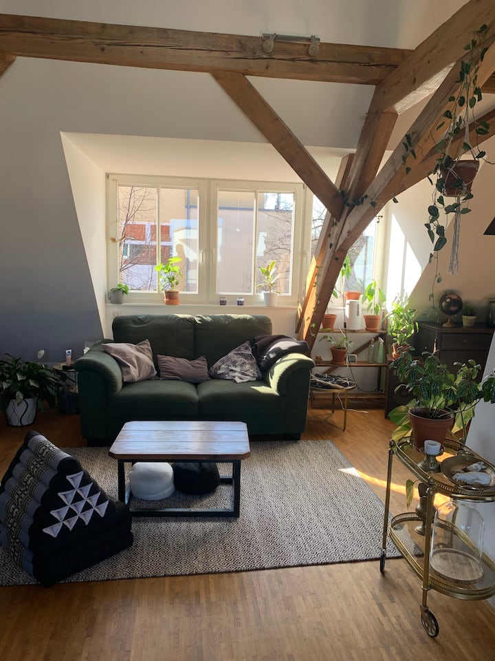 Entspannte Einzimmerwohnung Mit Kleinem Balkon - Freiburg im Breisgau