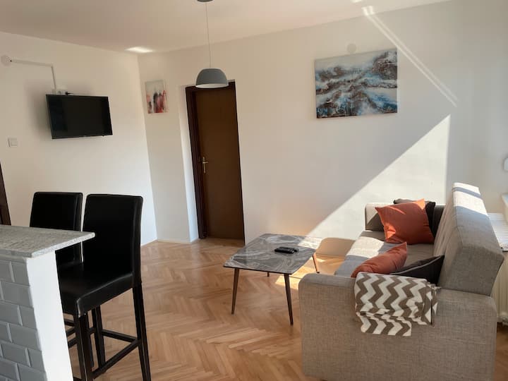Renovated Spacious 1-bedroom With City Views. - Sarajevo