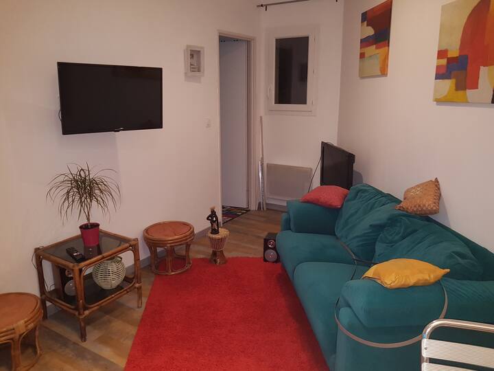 Appartement Au Coeur Des Vignes Region Pic St Loup - Claret