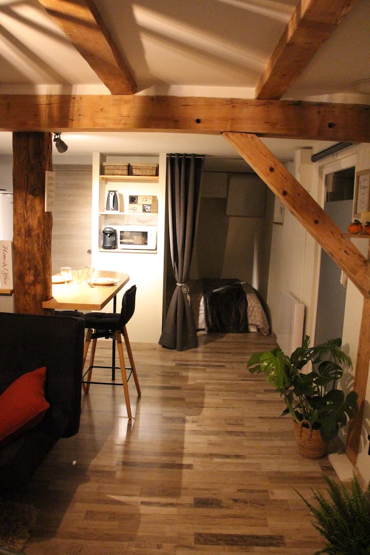 Petit Studio Indépendant Idéalement Situé - Cernay