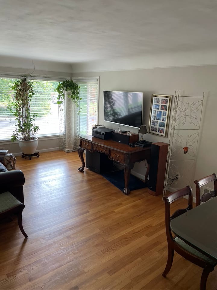 Close To The Big House!  Sunny, Charming 3 Bedroom - Ann Arbor, MI