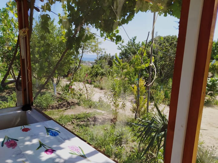 Hamakli, Deni̇z Ve Orman Manzarali Kir Evi̇ - Erikli