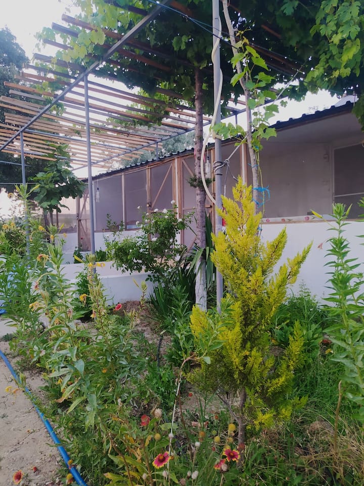 Ai̇leler İÇİN Deni̇z Ve Orman Manzarali Kir Evi̇ - Erikli