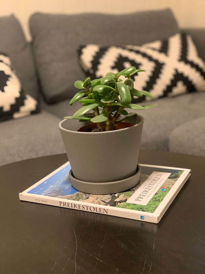 Studio Apartment - Stavanger