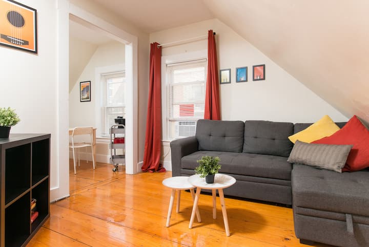 1 Free Parking Spot - Large Bed/1 Bath - Location - Boston, MA