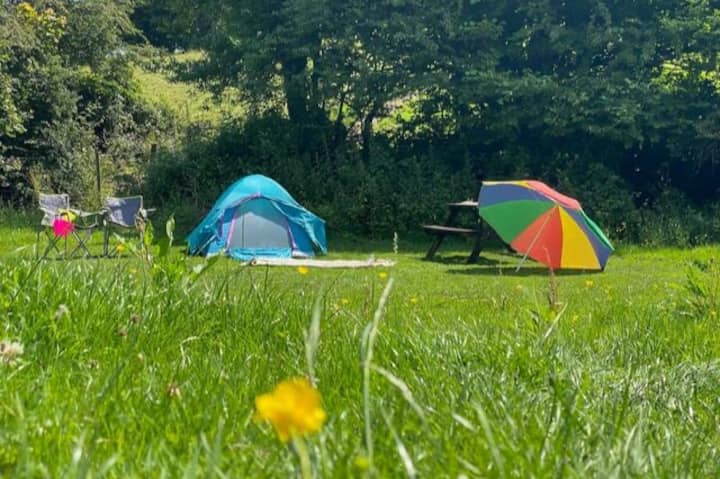 Camping Pitch #3 - Camping Ty Du Farm - Llanelli