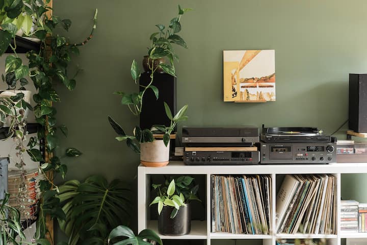 The Passionfruit Treehouse - Mount Maunganui