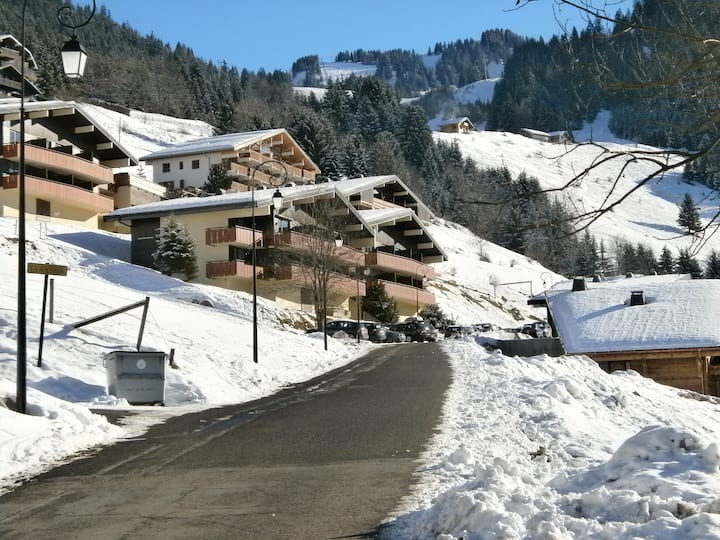 Studio 4 Pers. Châtel Portes Du Soleil - Châtel