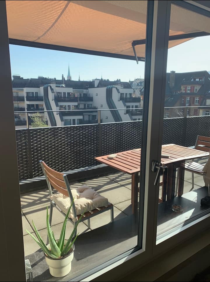 Top Floor Apartment In Trendy Kreis 3 - Zürich