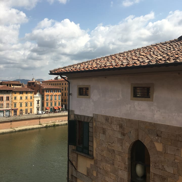 Brand New And Historic Flat Lungarno Pisa - Pisa