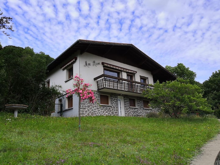 Au Fil Du Reucy - 10 P - Garage Et Jardin Prives - La Bresse