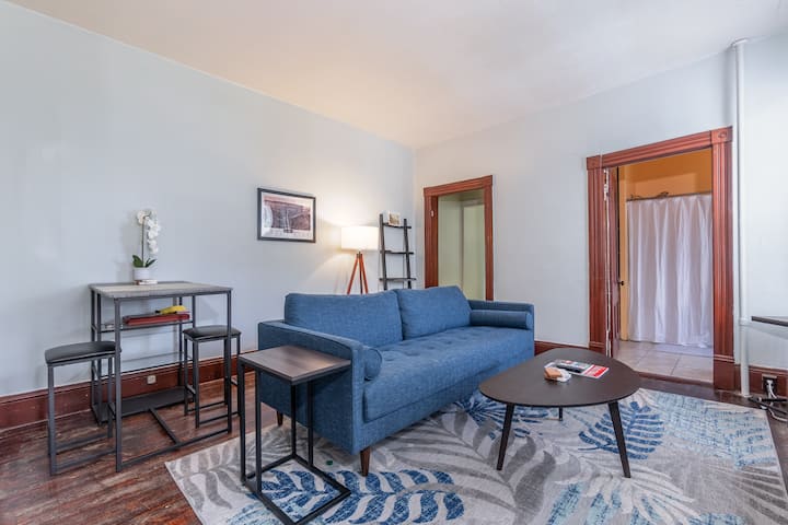 Entire One Bed Apt: Value & Walkable To Downtown - Saratoga Springs, NY