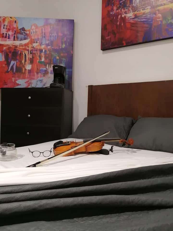 2 Loft Nuevo, 3 Cuadras Del Hospital Universitario - Monterrey