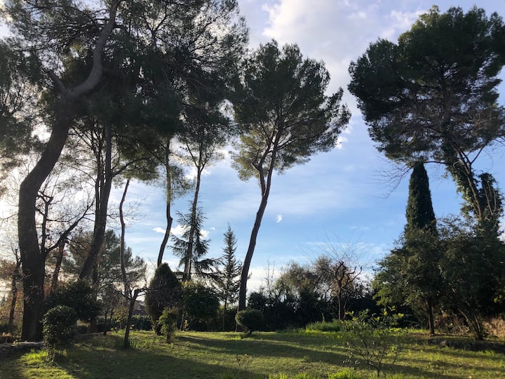 Villa 4 Pers Jardin Piscine Tyrolienne 10mi Cannes - Mougins