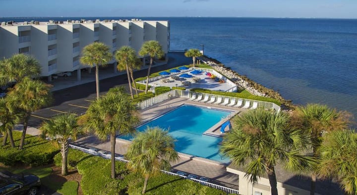 Top Location | 5★  With Sea Views & Heated Pool - Tampa, FL