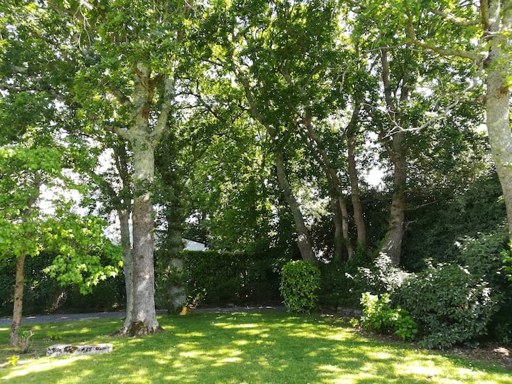 Maison En Plein Centre De Bénodet, 500 M Plages - Bénodet