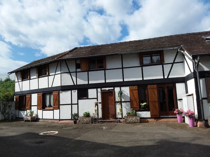 Maison Alsacienne 145 M2 Dans Un éCrin De Verdure - Estrasburgo