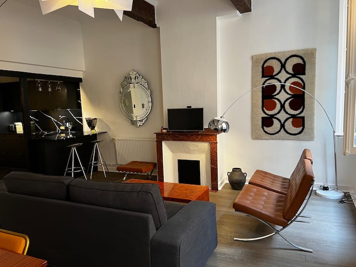 Toulouse Capitole Superbe Appartement Classé - Toulouse