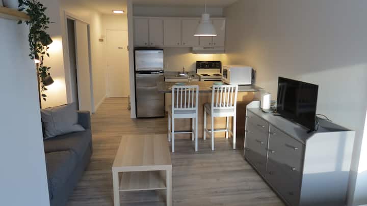 Apartment-studio, Mile-end /.4 Plateau - Montreal