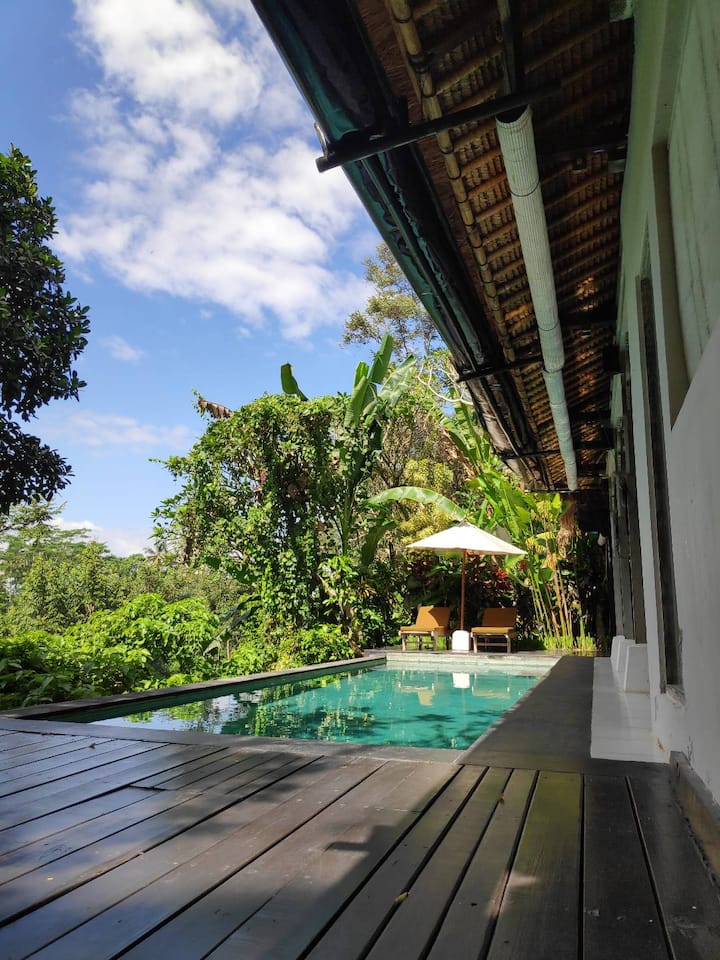 Villa Damai Shanti - Ubud