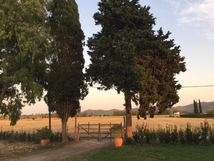 Appartamento Con Giardino In Casale 3 - Magliano in Toscana