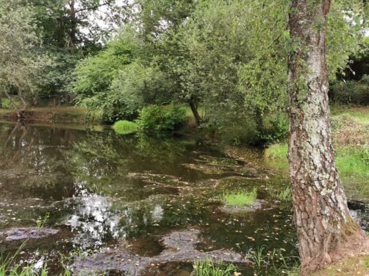 Jolie Petite Maison Avec Point D'eau - Domfront