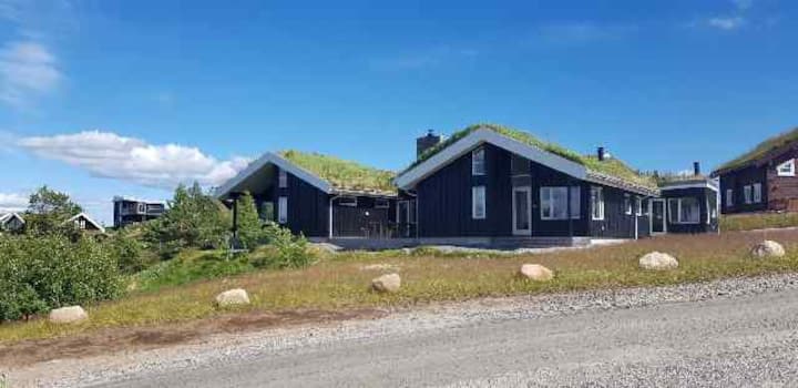 Flott Utsik På Fjellet. 24 Sengepl. Badstu. Alpint - Norway