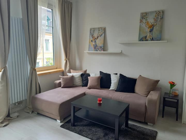 Zwei Betten+schlafsofa + Balkon In Zentraler Lage - Halle (Saale)