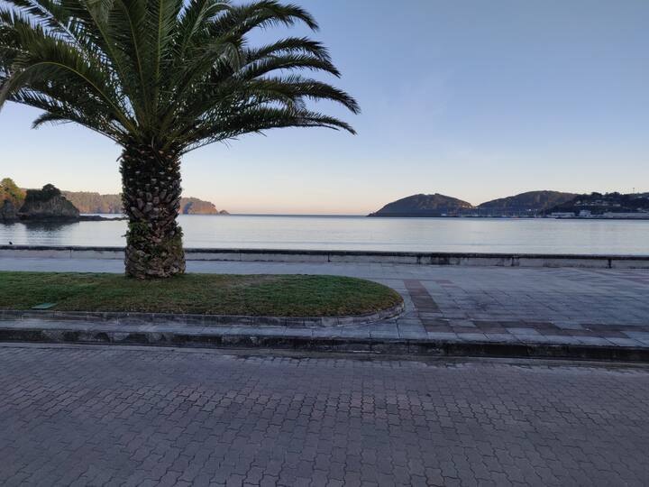 Face à L'océan - Viveiro