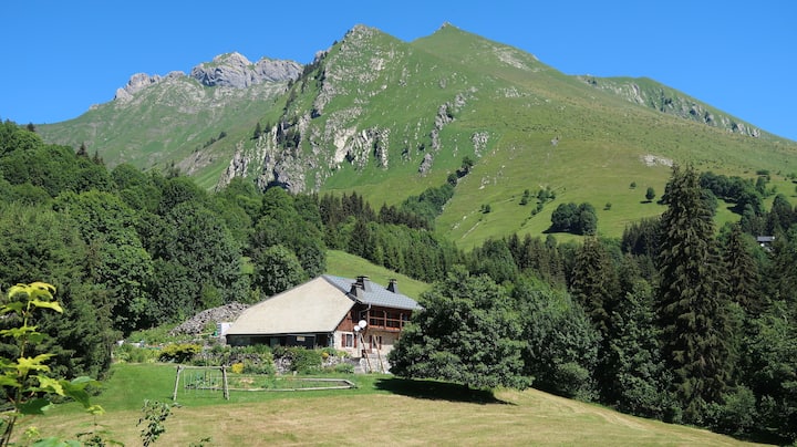 Chalet Beauregard Haute Montagne - 12 Pers - Spa - Haute-Savoie