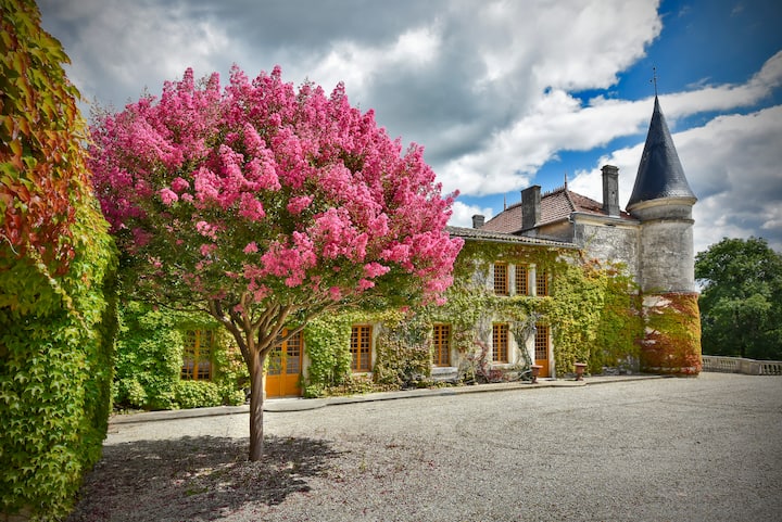 Magnifique Château Au Cœur Des Vignes De Cognac - Cognac
