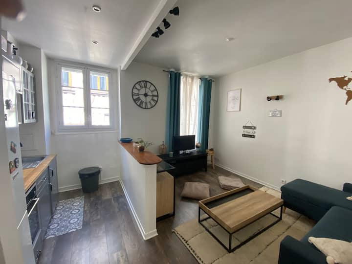 Appartement Cosy En Plein Centre Historique - Orléans