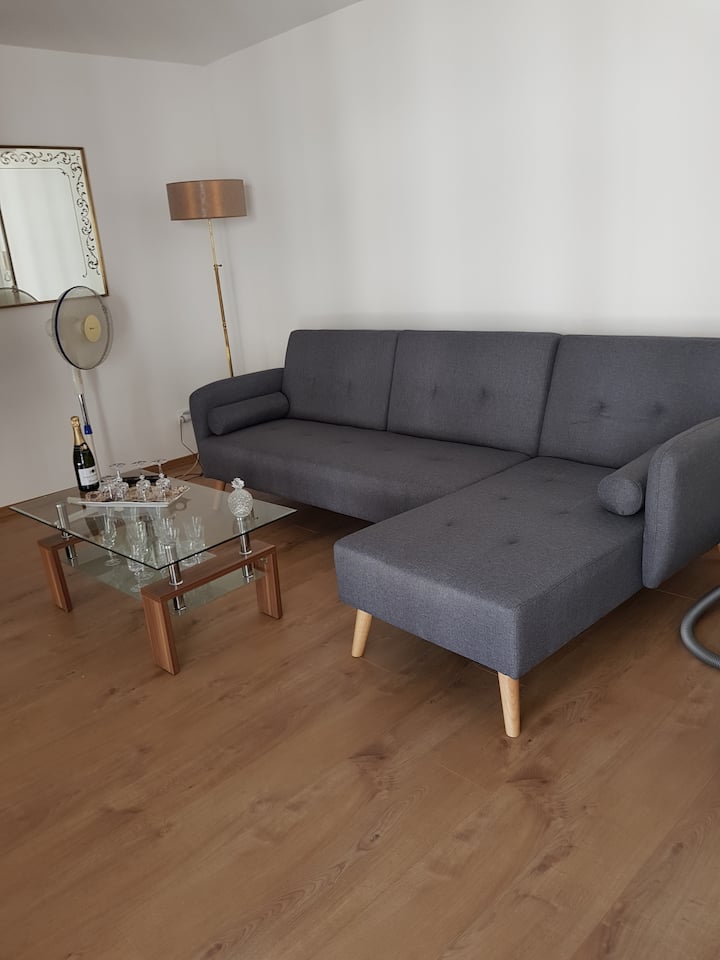 Joli F2 Rénové Proche Du Lac à Pied - Annecy