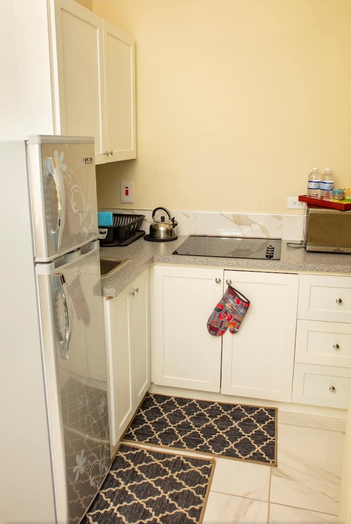 Centrally Located Cozy Studio - Kingston