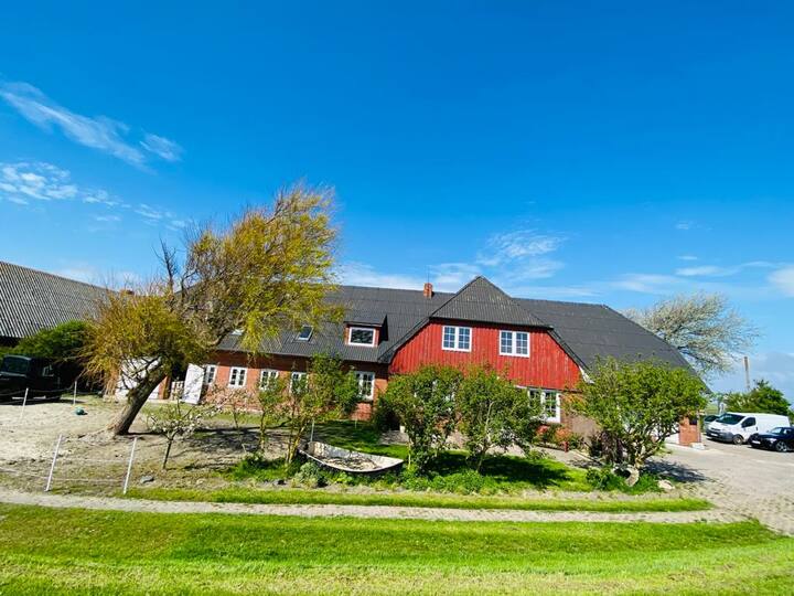 Hare Ferienwohnung 4  Auf Hallig Langeneß - Langeneß