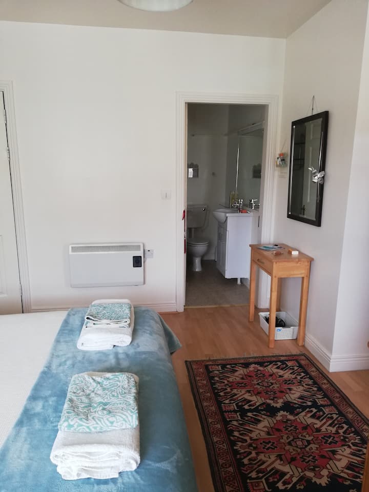 Breda,s Cosy Room - Wexford