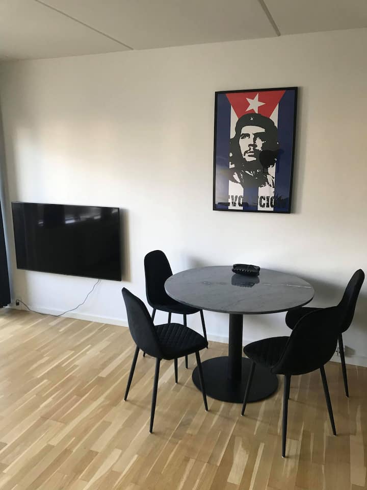 Newly Renovated Appartment In ØSterbro - Copenaghen