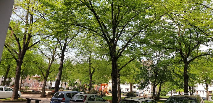 Grünes 50er J. Denkmal Feeling Zentral+ruhig 56qm - Cologne