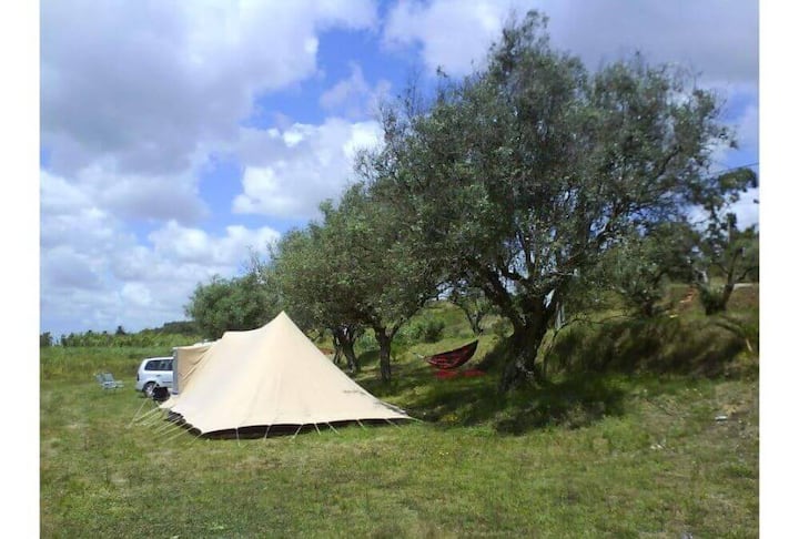 Camping Termas Da Azenha 2 - Figueira da Foz