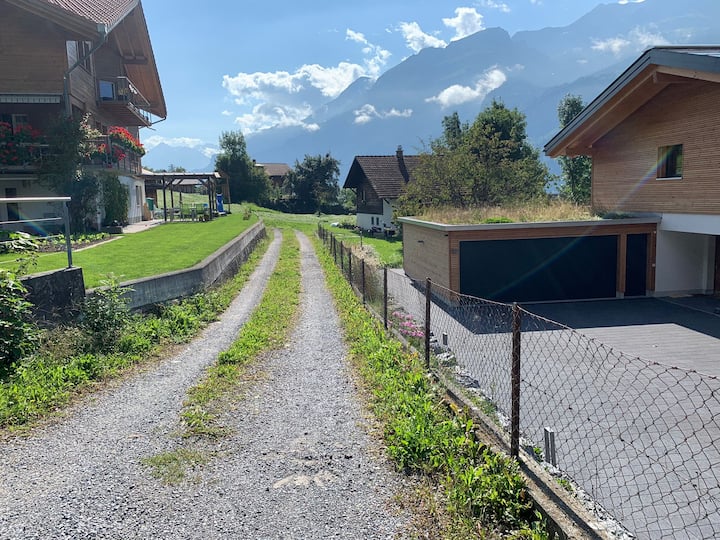 Naturnahe Wohnung Für 1 - 4 Personen - Brienz