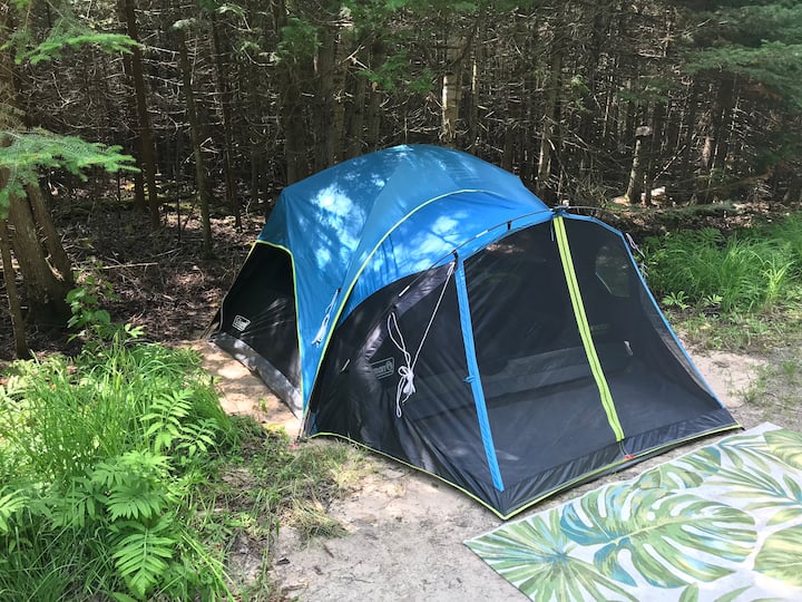 The Dark Room - Cheboygan, MI