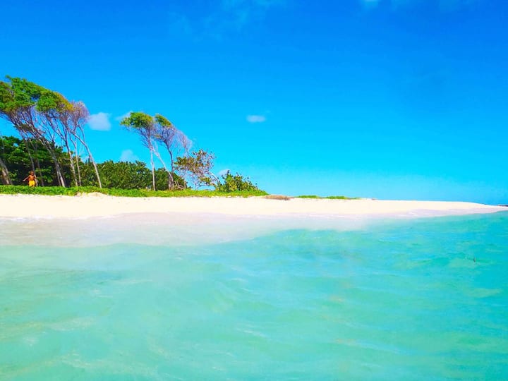 Meublé Touristique Au Calme En Famille (Anémone) - Martinique