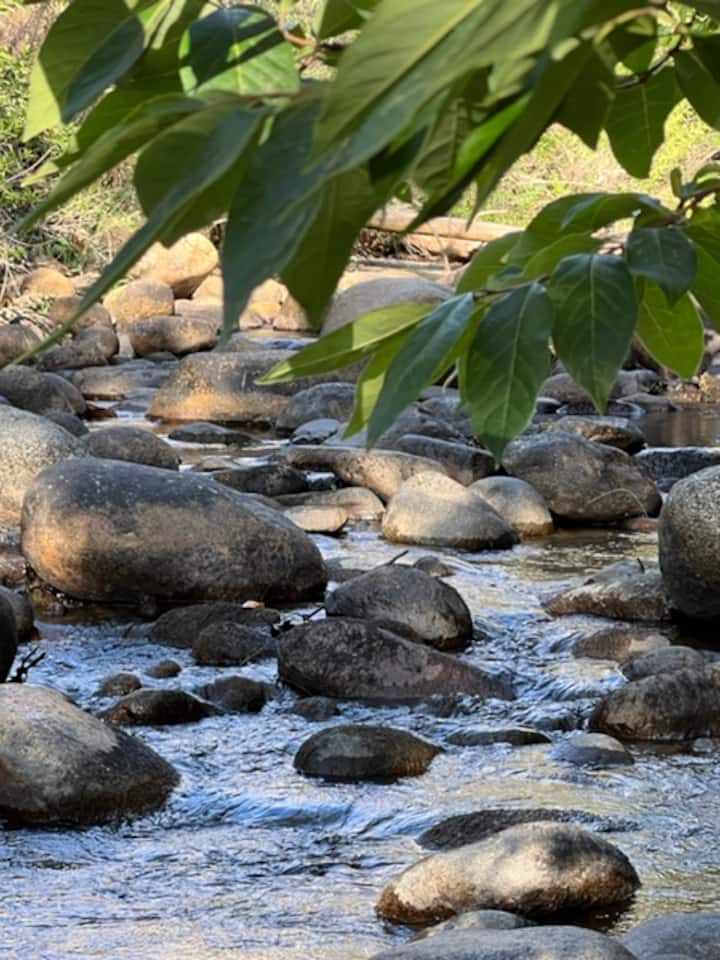 River Retreat Near Sequoia National Park - Three Rivers, CA