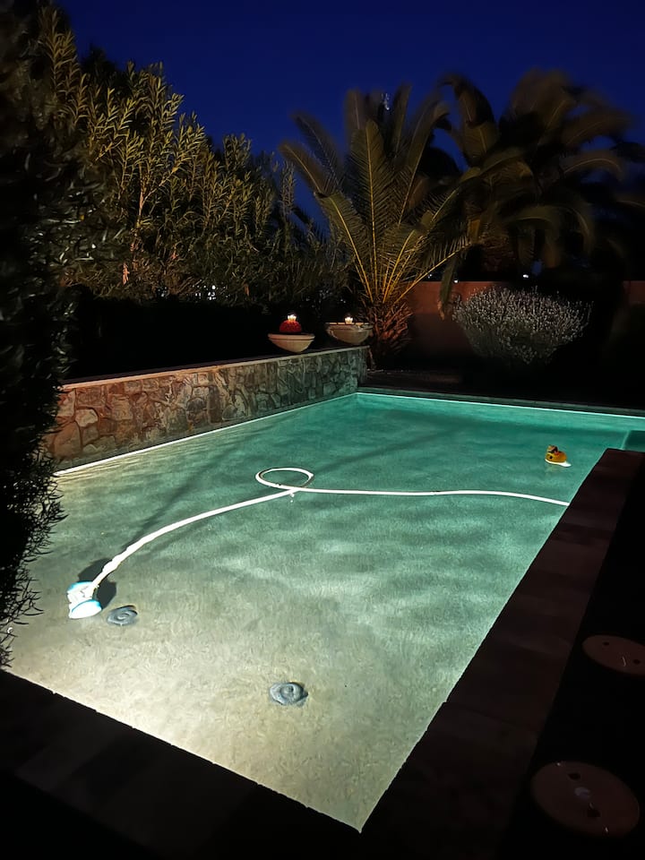 Backyard Oasis With A Beautiful Pool And Privacy - San Tan Valley, AZ