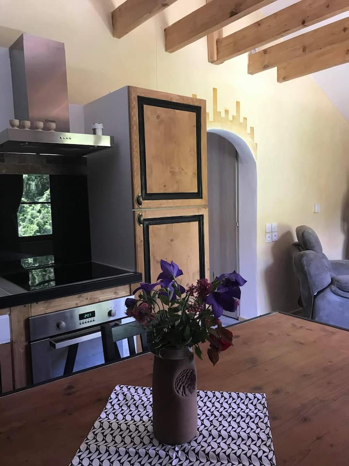 Appartement Proche D'annecy Entre Montagne Et Lac - Faverges