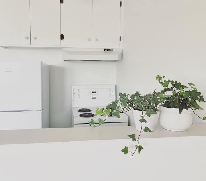 Boutique Apartment In Charlottetown - Charlottetown