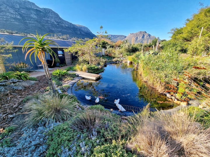 The Stables 2 - Cape Town