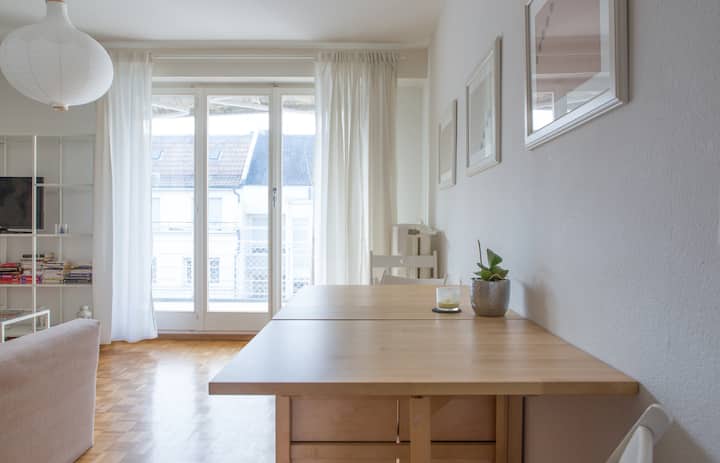Fantastic Flat Near The Lake - Ginebra